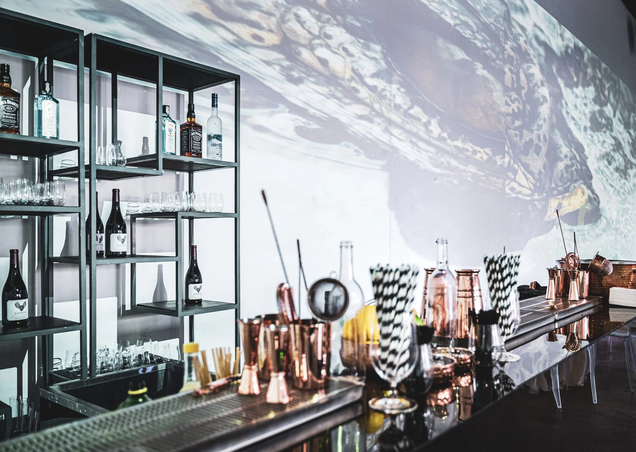 The Alligator Club | Event Space & Venue Rental in Houston