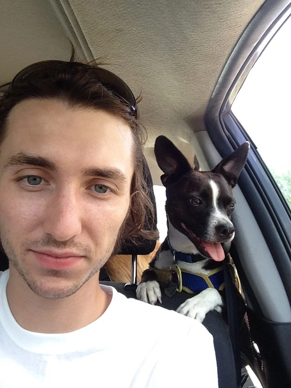 Wishbone Dog Jc Caylen