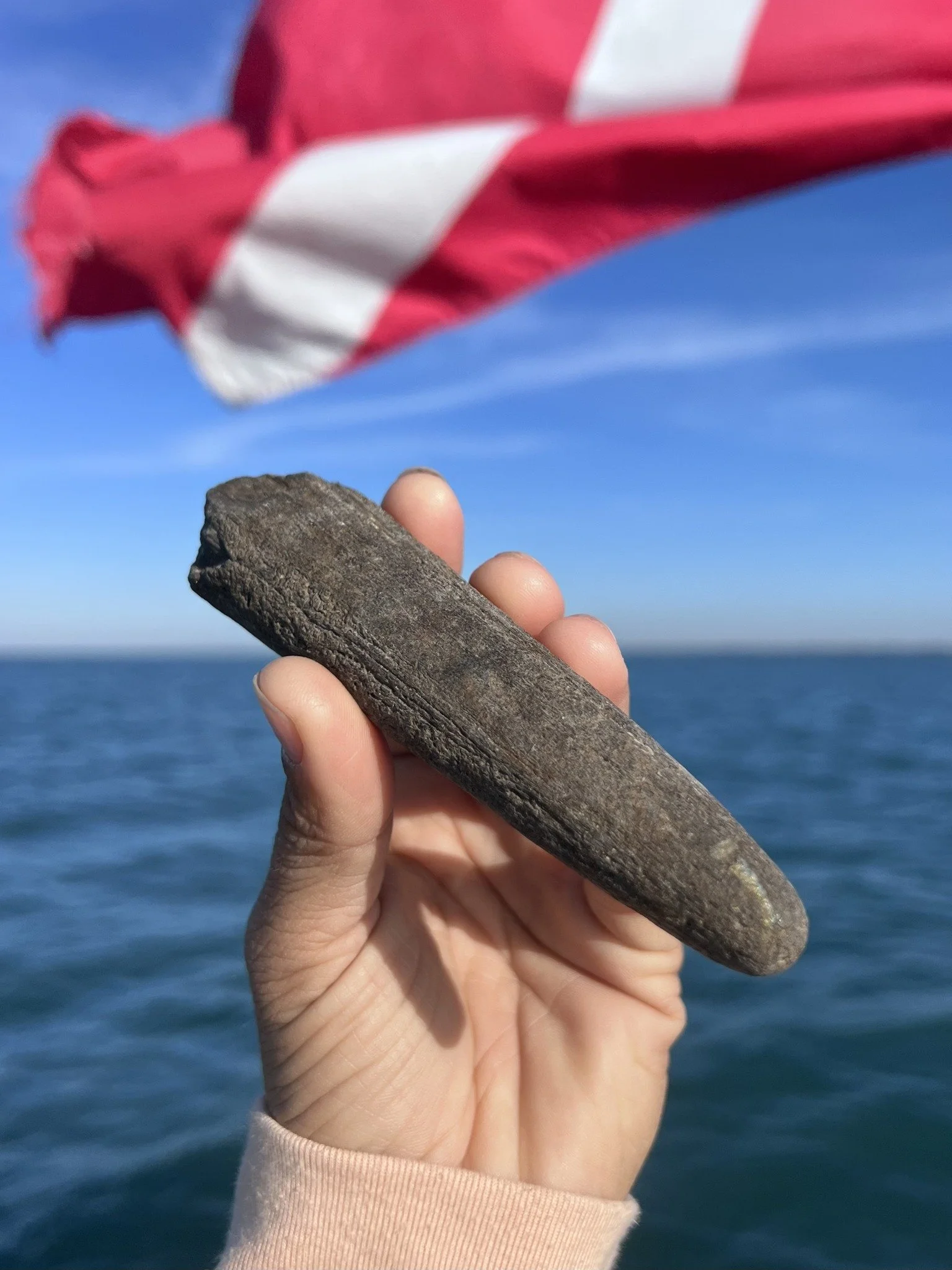 Billfish Rostrum (GA River) — Meg Goddess Designs