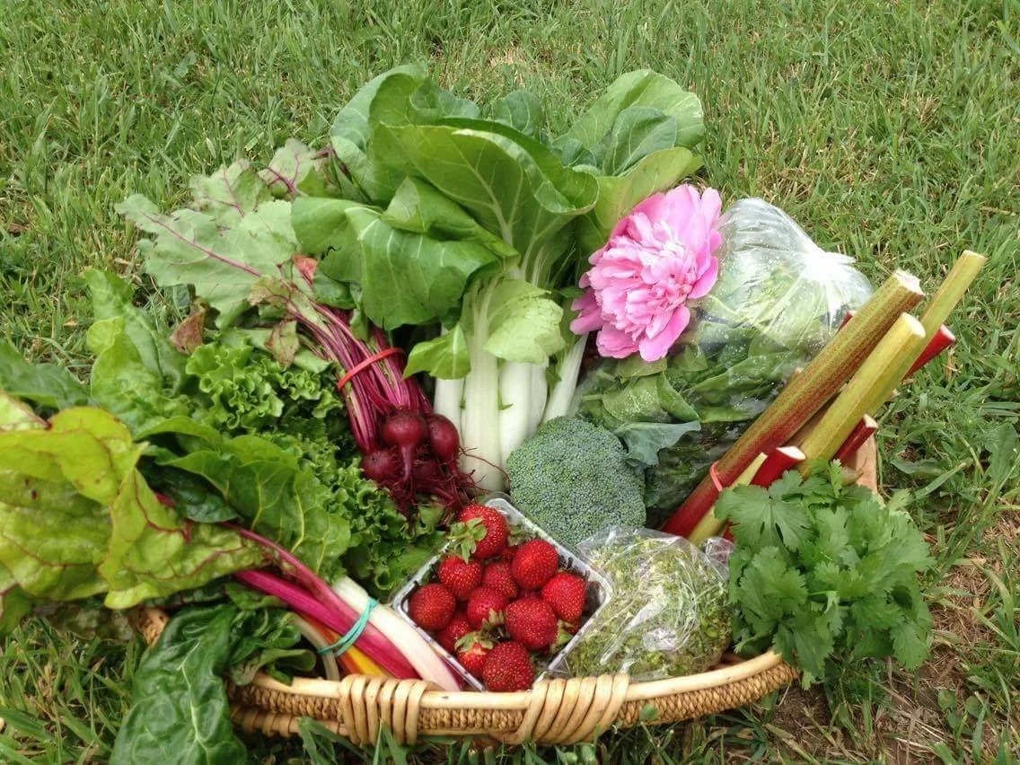 Paniers Bios — Ferme Terre Partagée