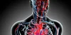 Understanding Vascular Studies: Benefits, Risks, and What to Expect ...