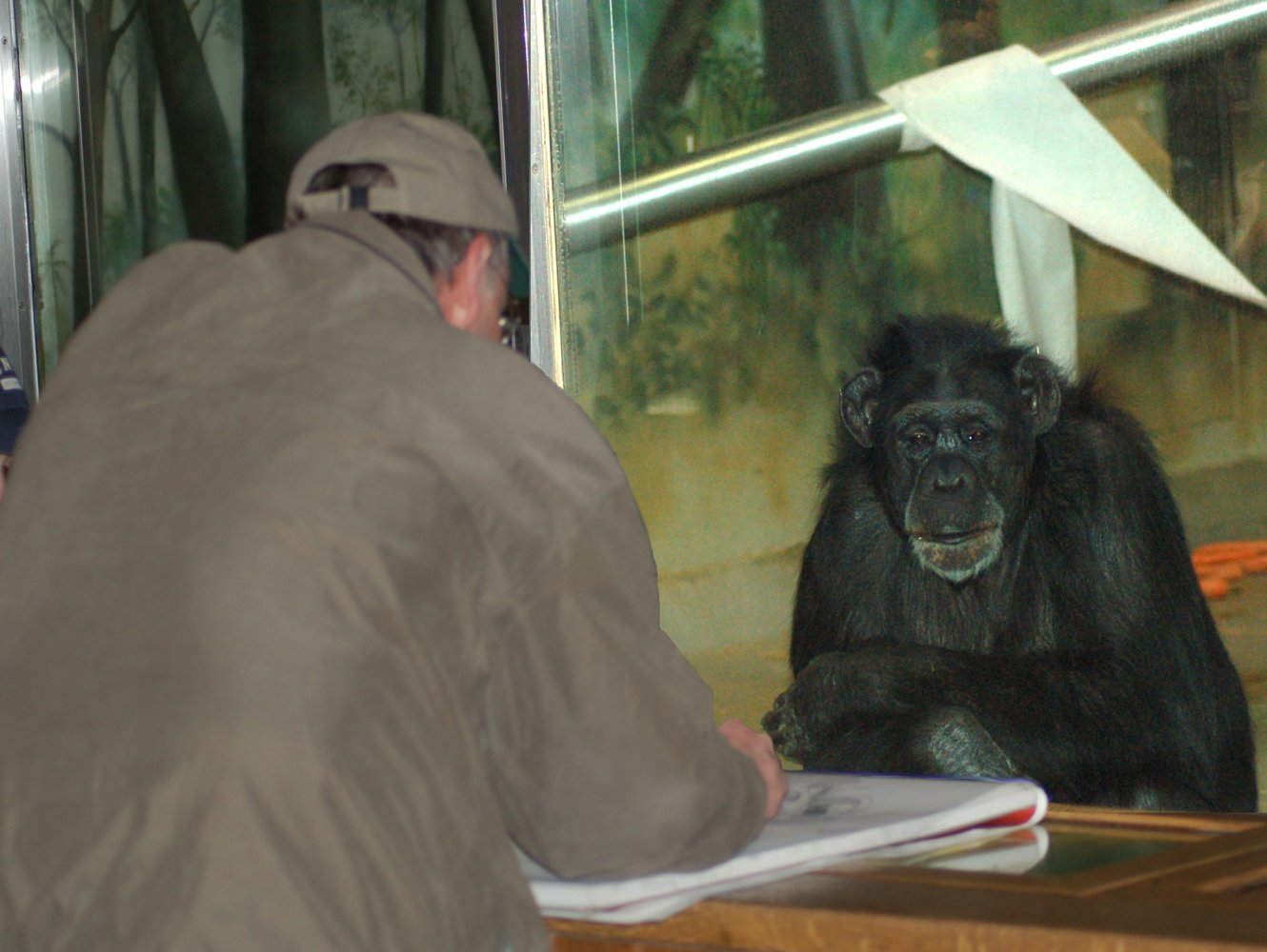 The Boy Who Went Ape — Richard Jesse Watson