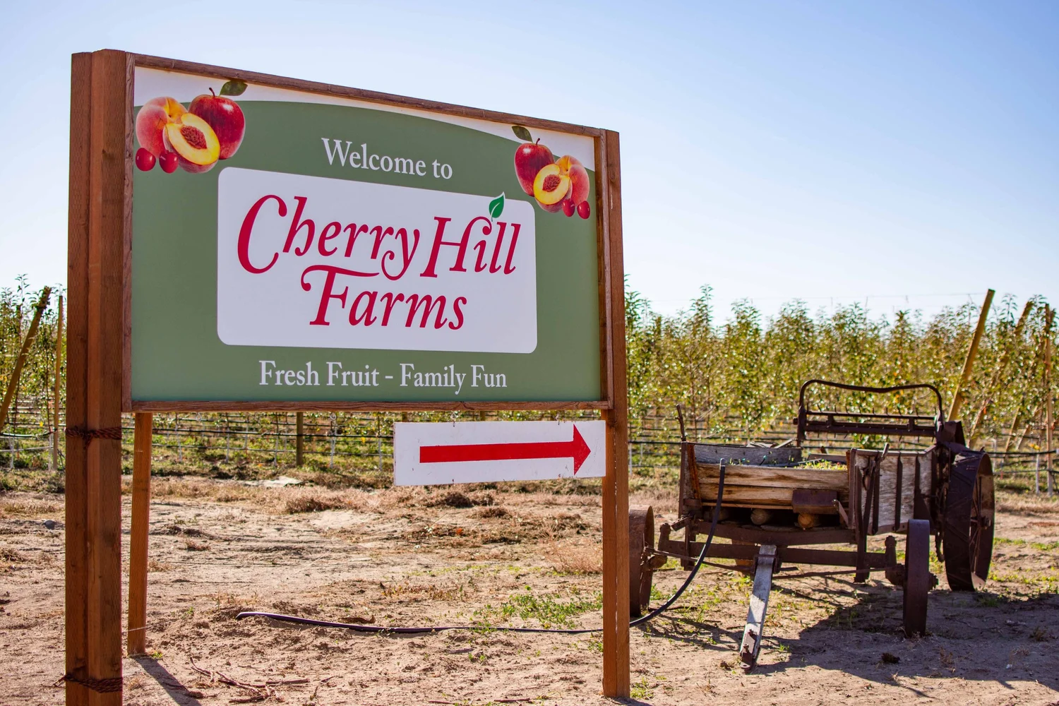 Idaho-Corn Maze — Cherry Hill Farms