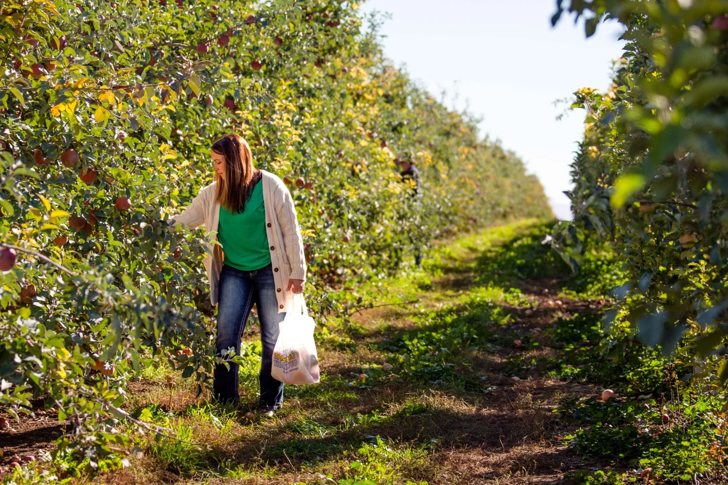 Alpine, UT — Cherry Hill Farms