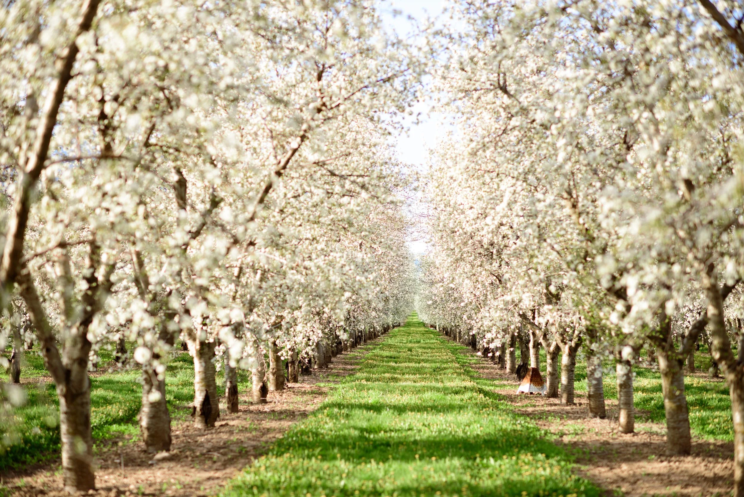 Santaquin Home — Cherry Hill Farms