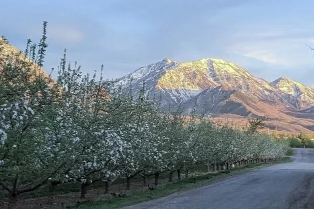 Santaquin, UT — Cherry Hill Farms