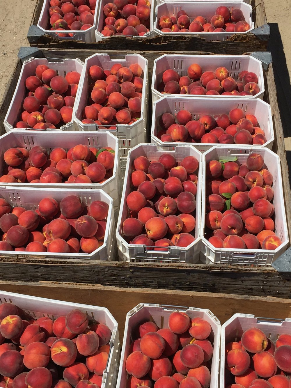 Alpine, UT — Cherry Hill Farms