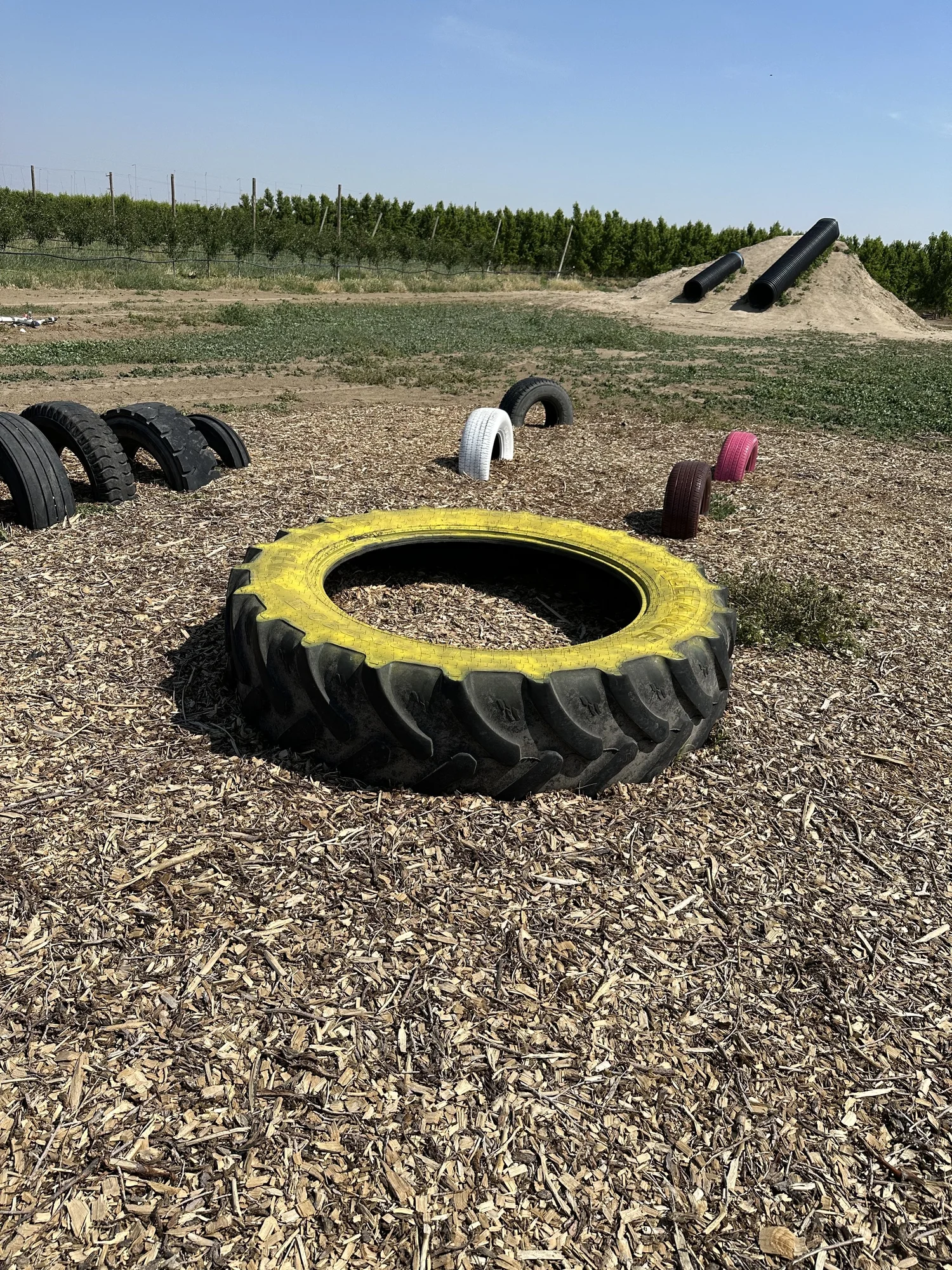 Idaho-Corn Maze — Cherry Hill Farms