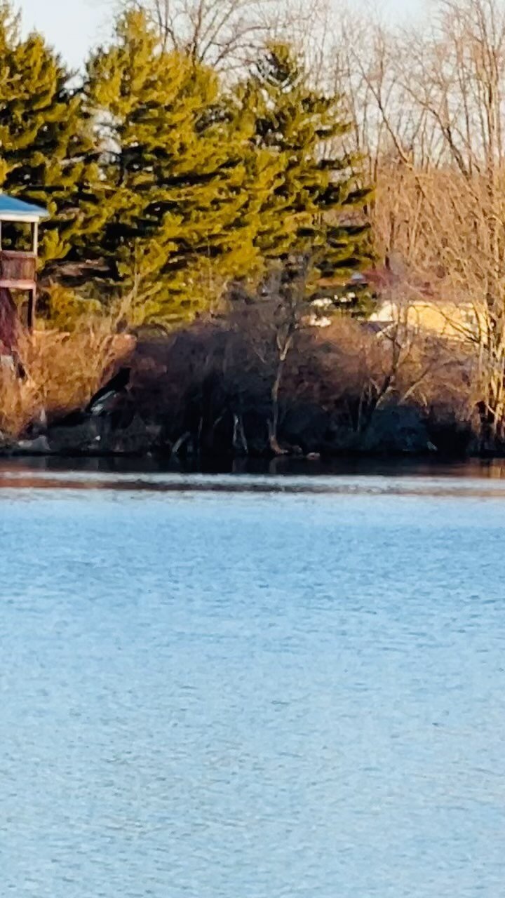 Flash Baseball Complex