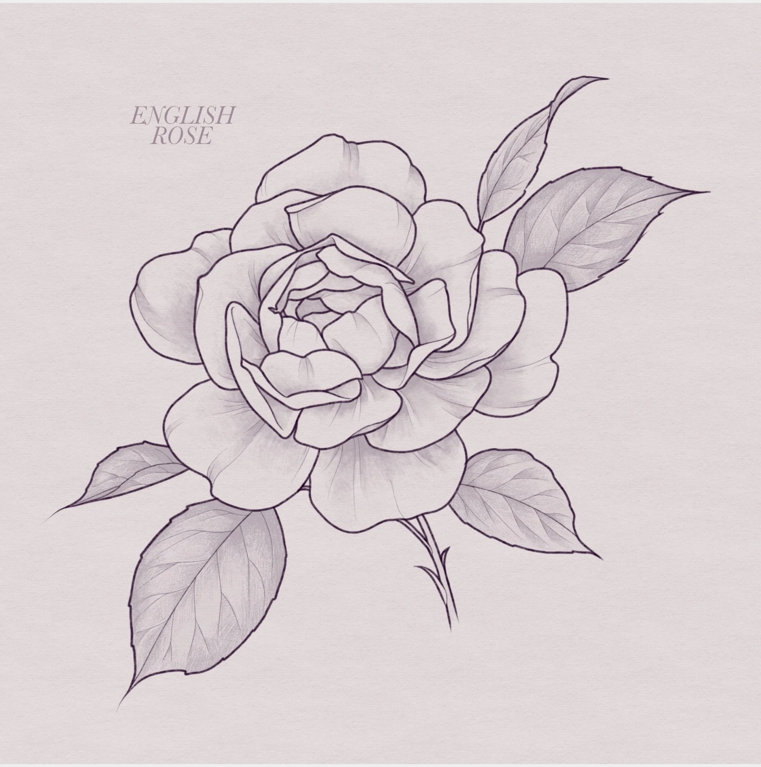 Available Flash — Paige Parker Illustration