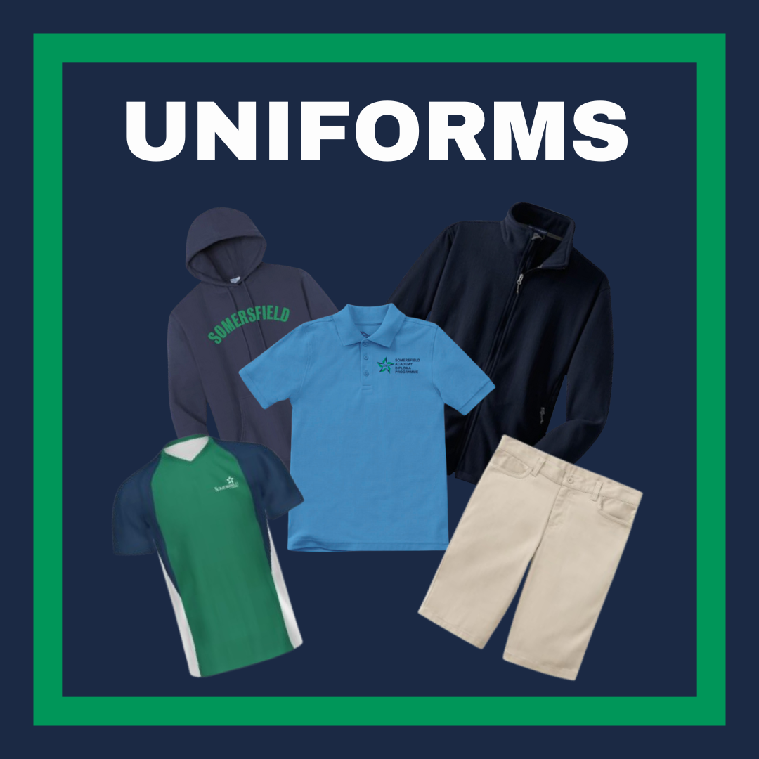 Somersfield Academy Summer Hub — Somersfield Academy