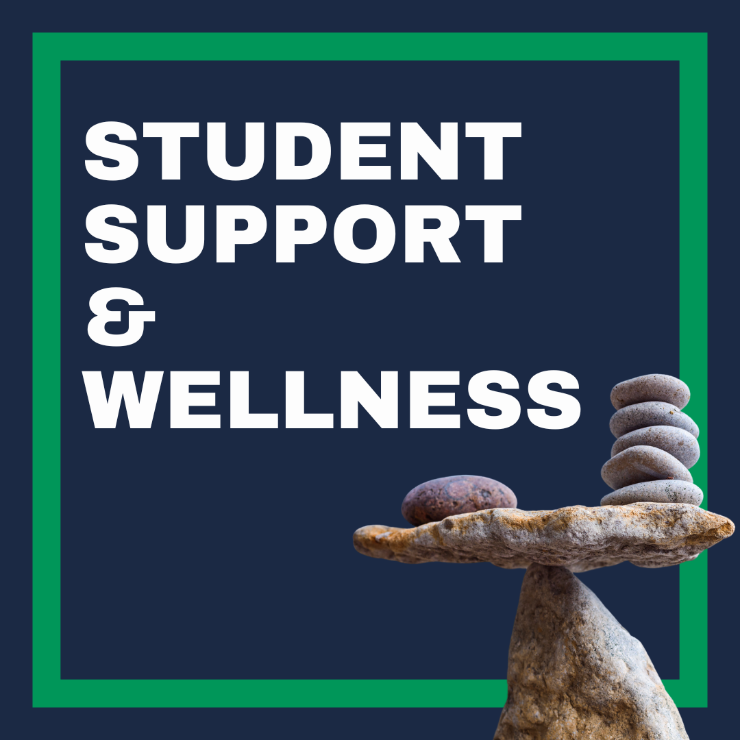 Somersfield Academy Summer Hub — Somersfield Academy