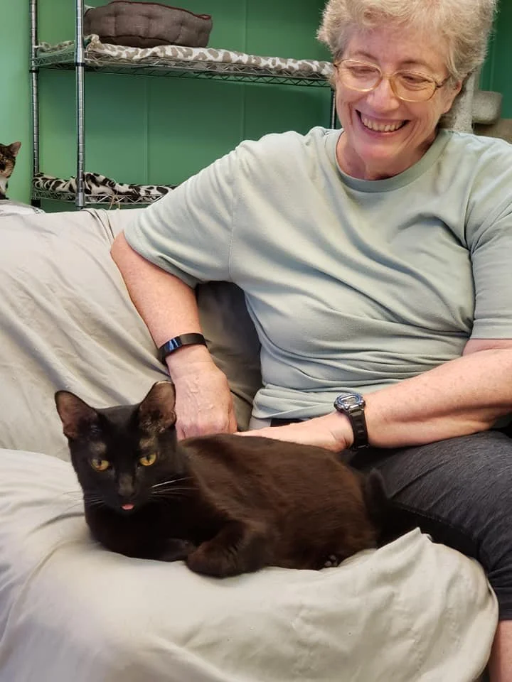 General 5 — Adopt A Cat Foundation