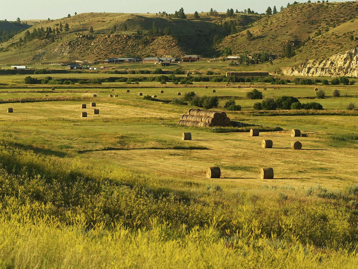 OW Ranch — Panacea Experience