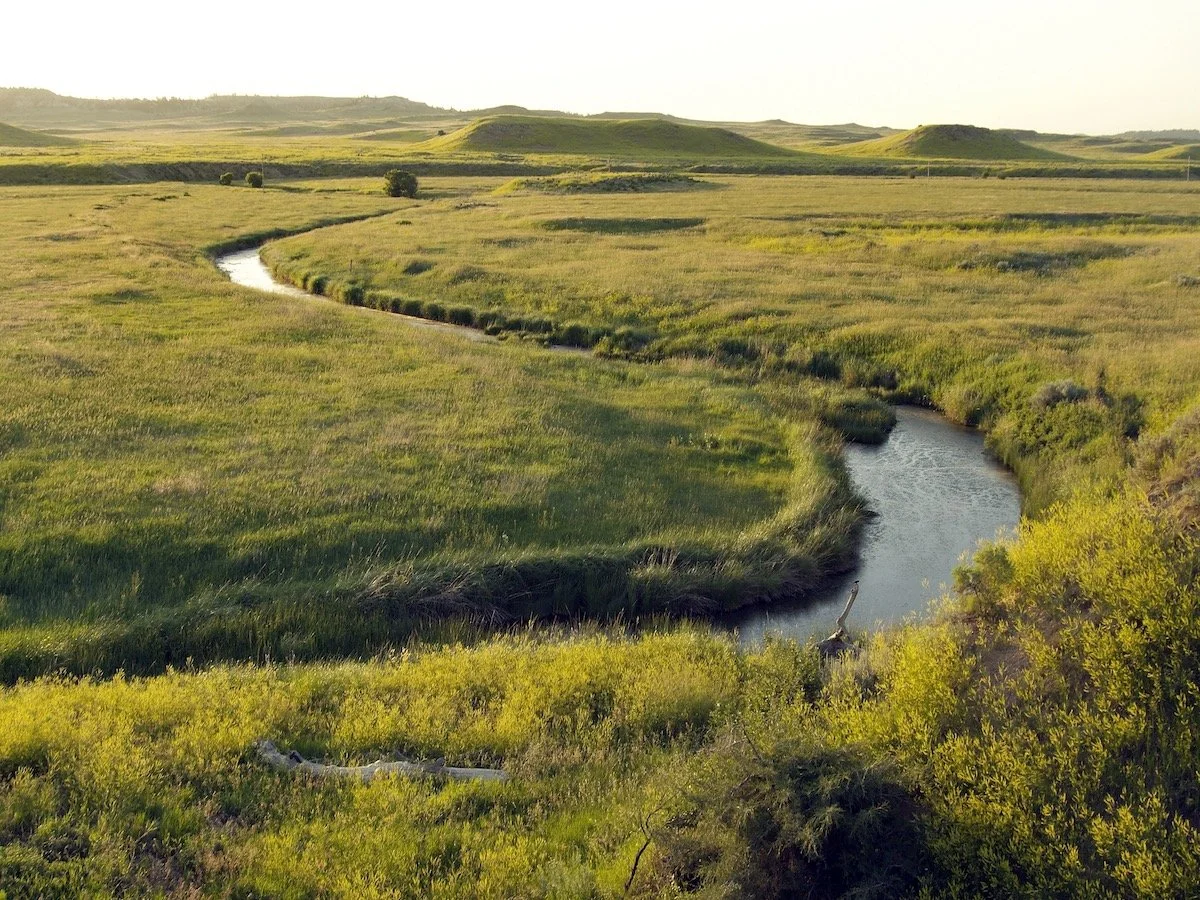 OW Ranch — Panacea Experience