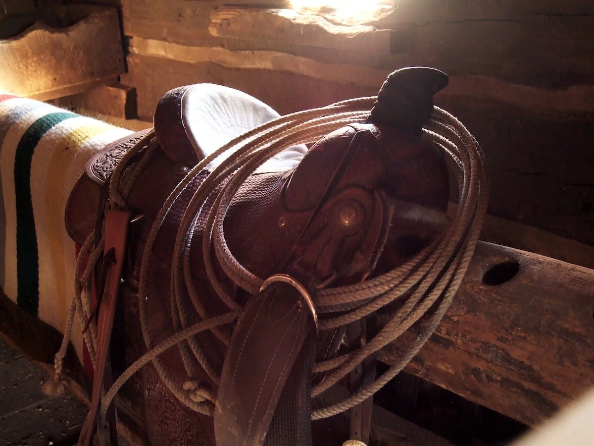 OW Ranch — Panacea Experience