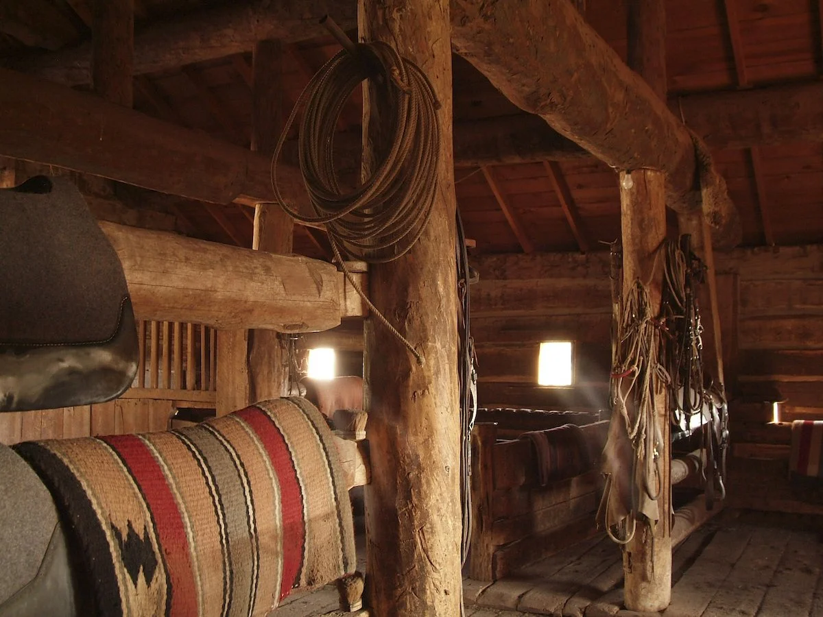 OW Ranch — Panacea Experience