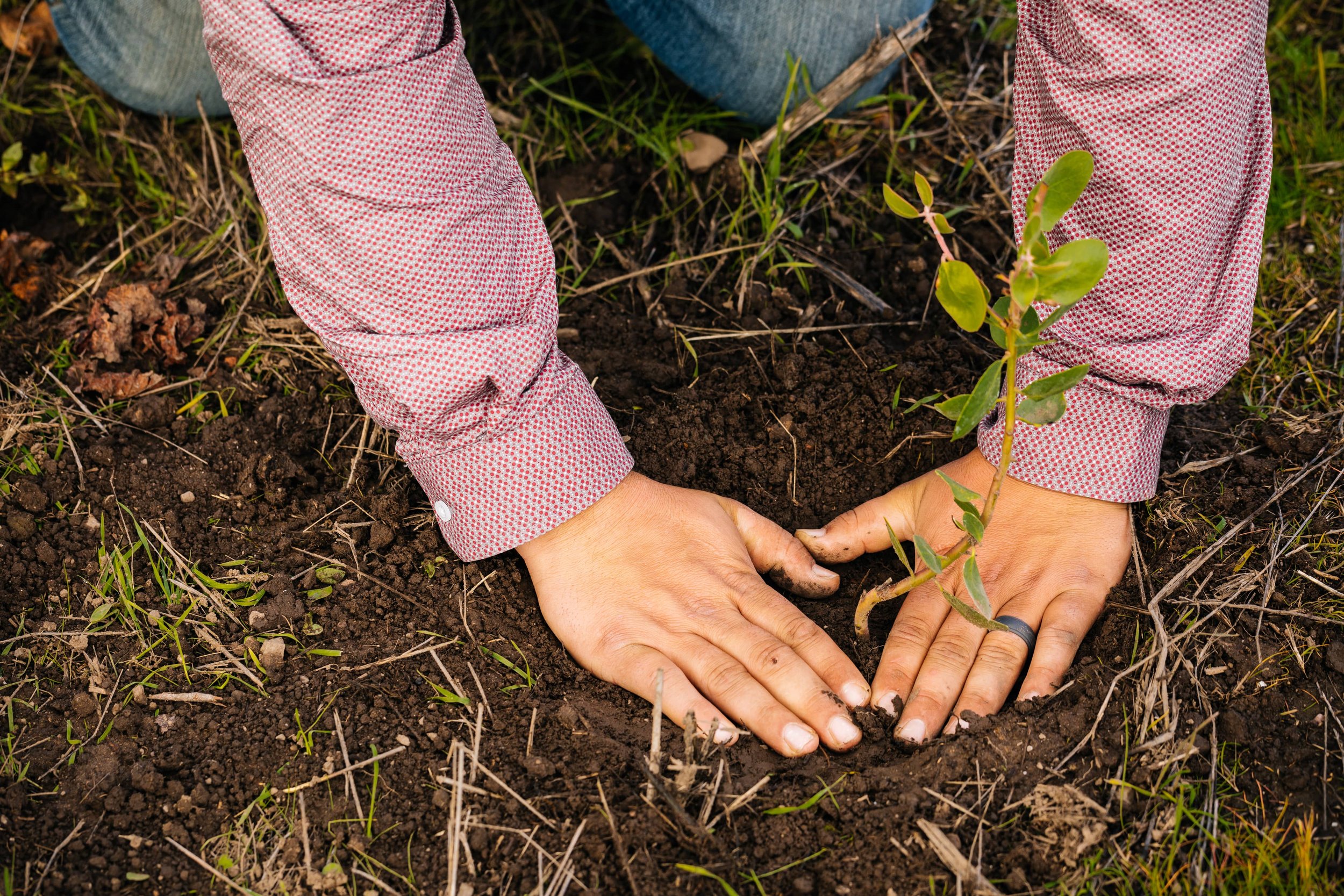 Absorbent Landscapes — Cool Boulder