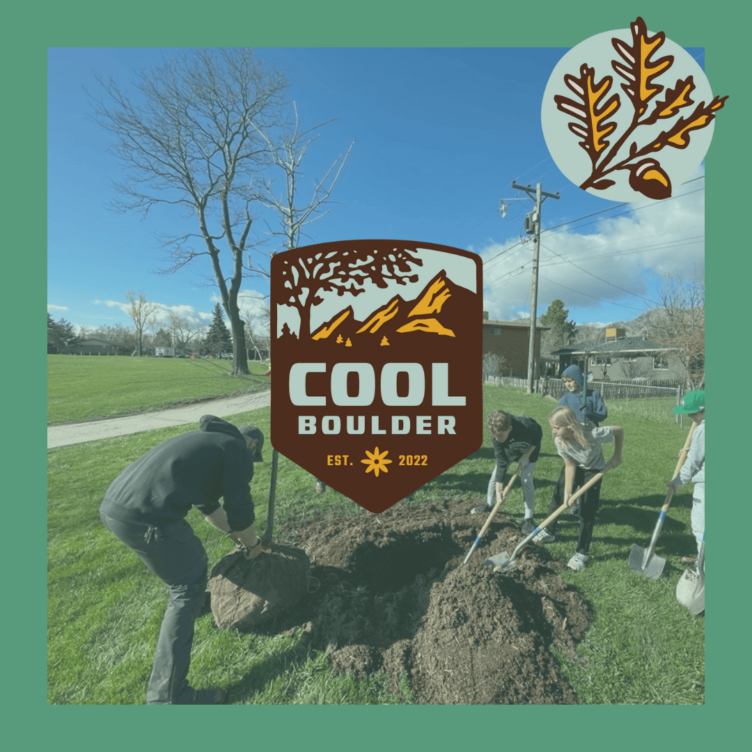 PLAY Boulder & City of Boulder Forestry’s Fall ‘23 Tree Sale is Here ...