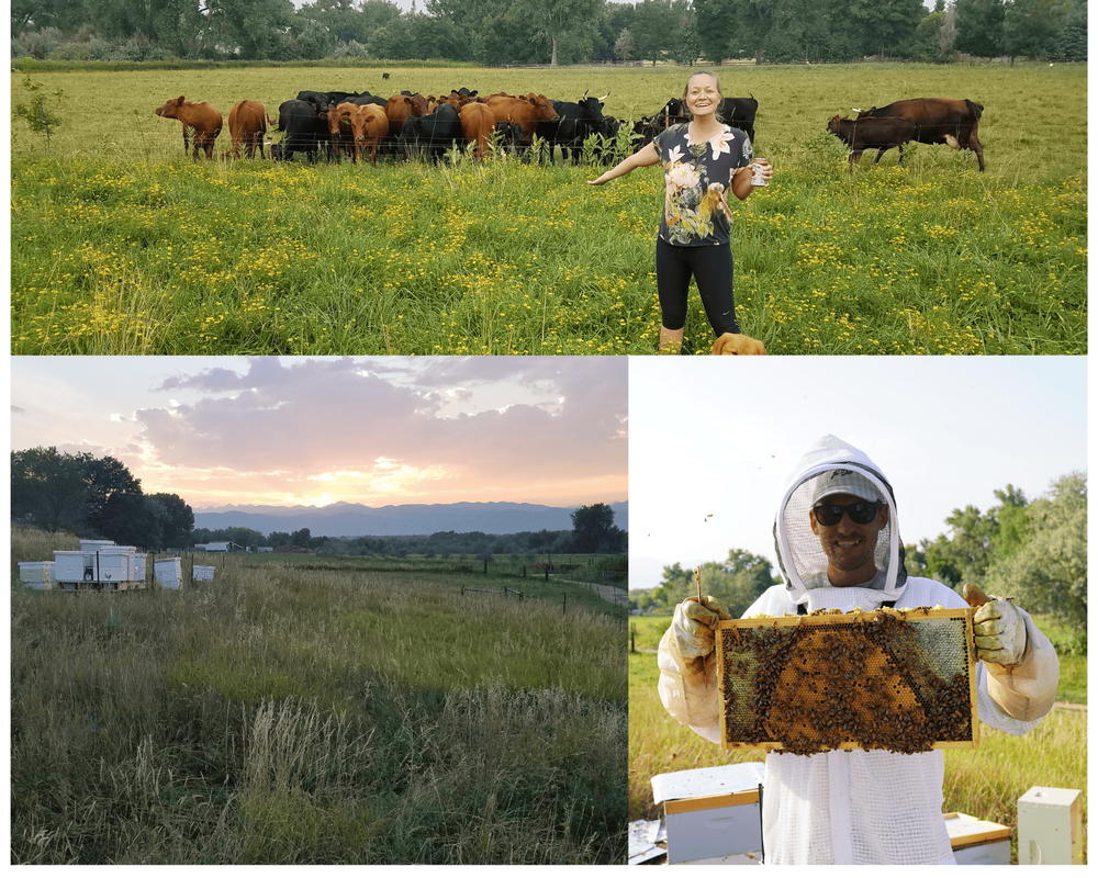 Cool Boulder has partnered with Zero Foodprint to build healthy soil on ...