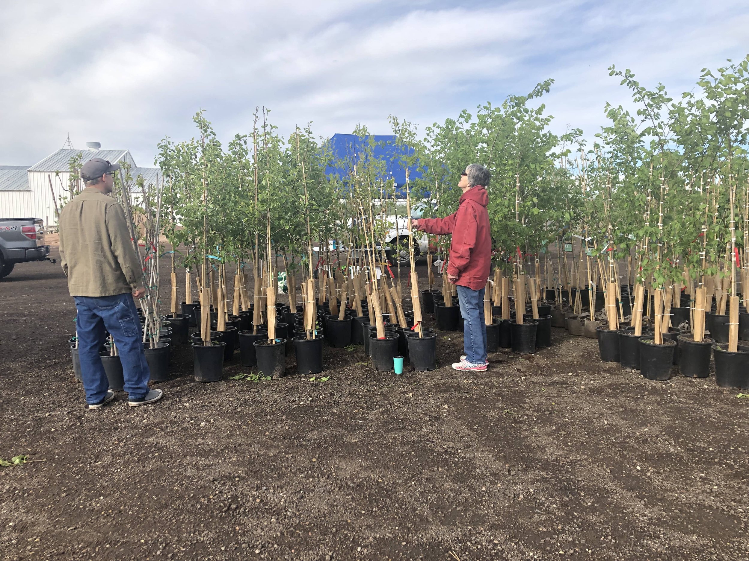 Transform Your Outdoor Space — Cool Boulder