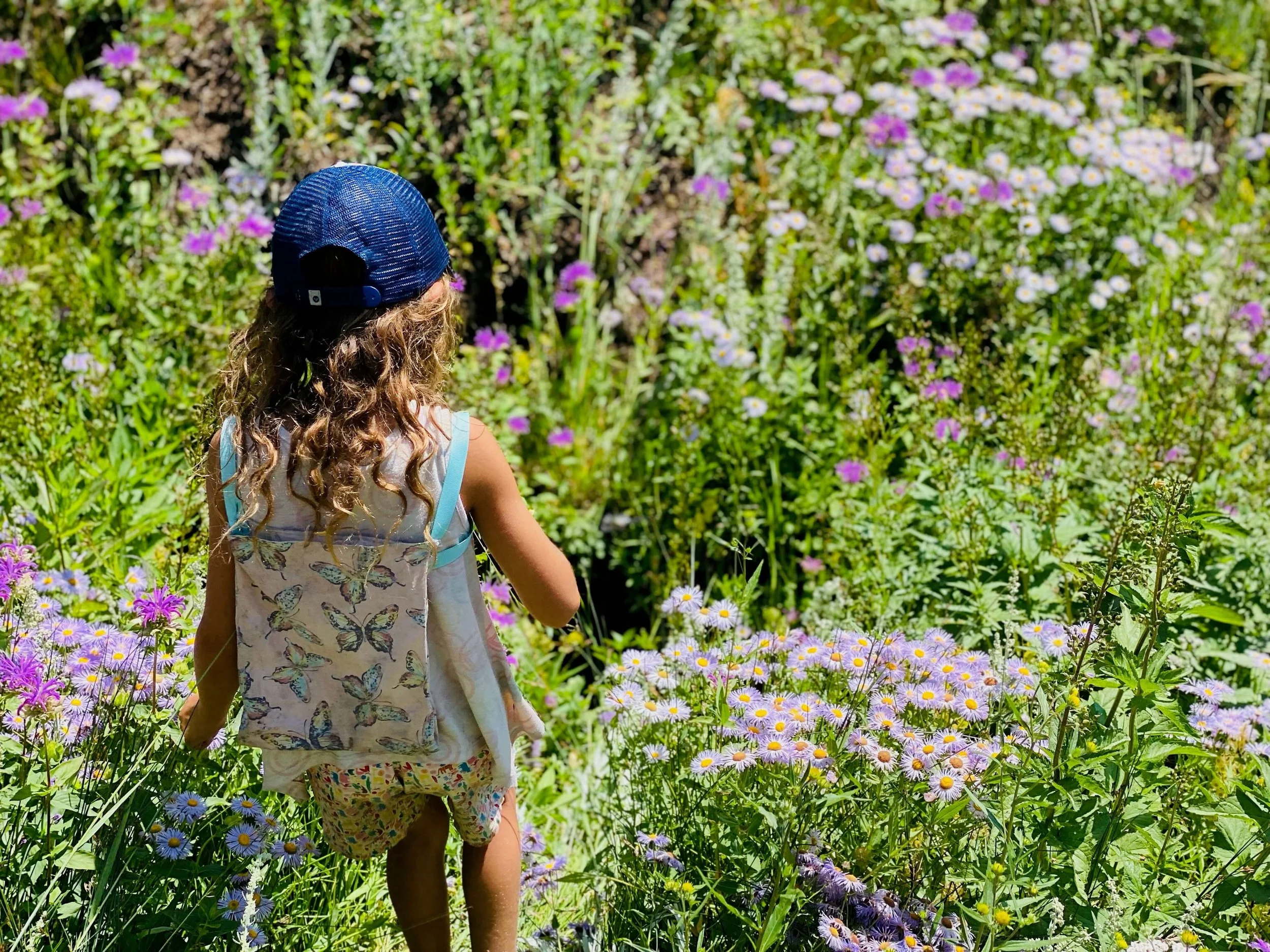 Rewilding: Pollinator Pathways — Cool Boulder