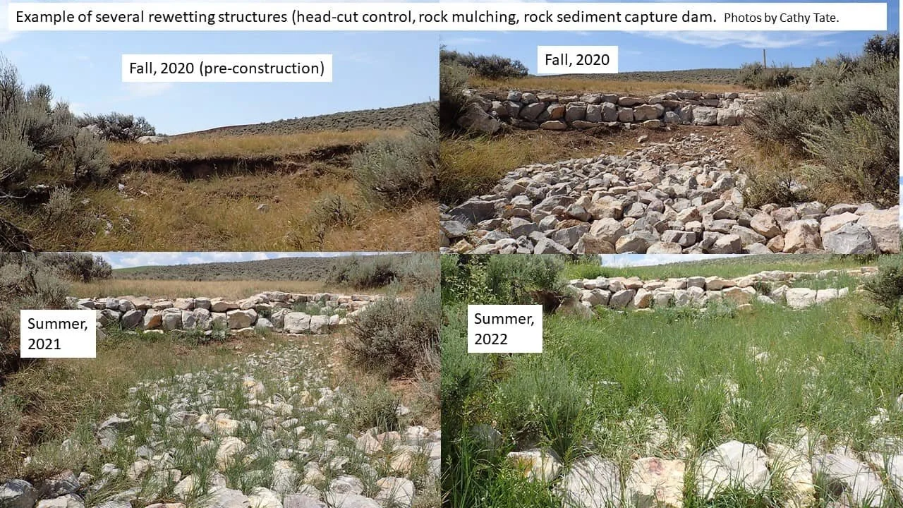 Rewetting the Sponge — Cool Boulder