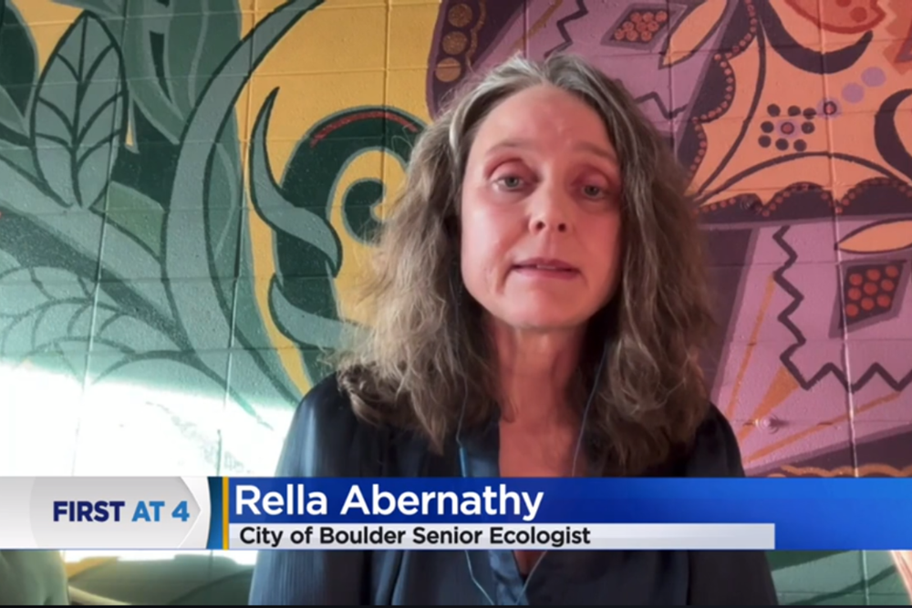 Media Coverage | Climate Action in the News — Cool Boulder
