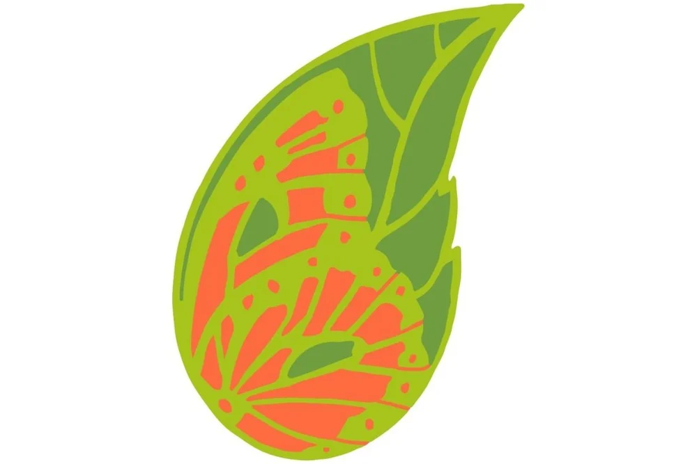 Biodiversity Logo — Cool Boulder