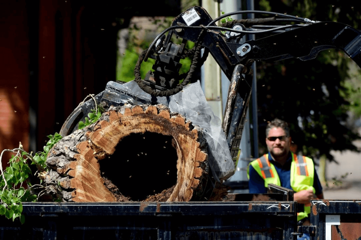 Media Coverage — Cool Boulder