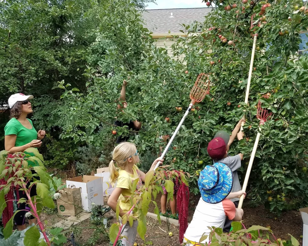 Keep Your Fruit Trees Healthy While Protecting Wildlife — Cool Boulder
