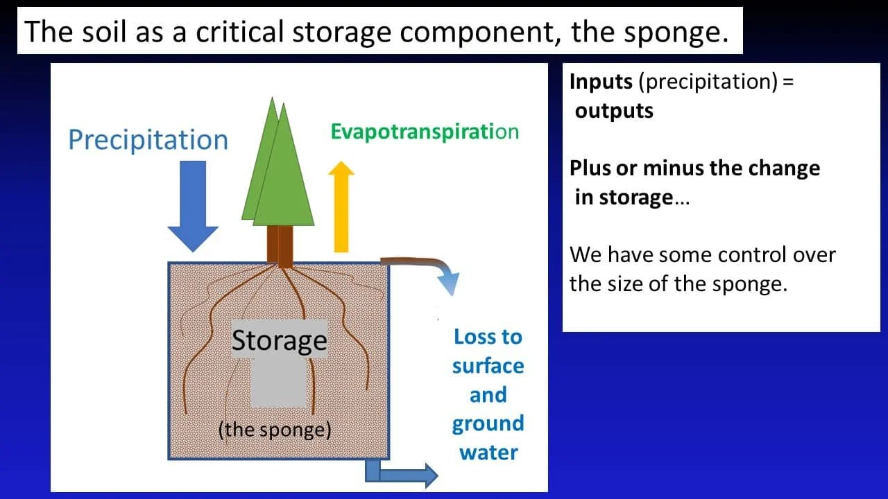 Rewetting the Sponge — Cool Boulder