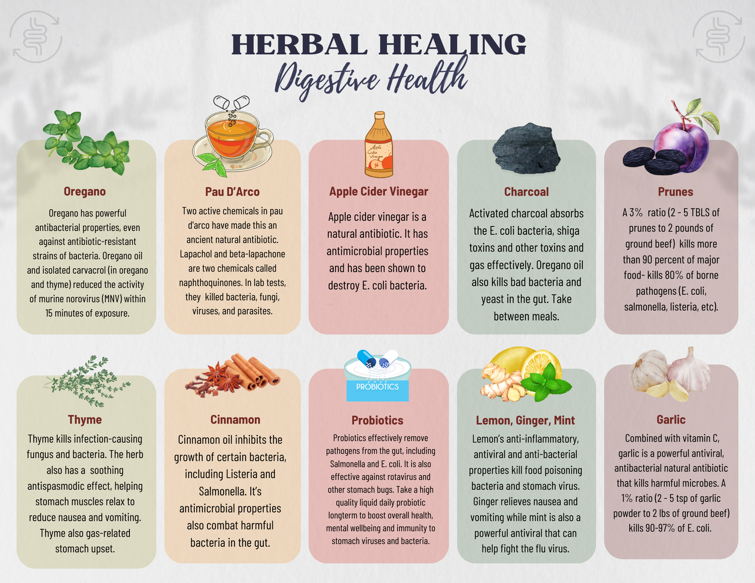 Natural Remedies for Stomach Flu, Vomiting and Nausea: A Comprehensive ...