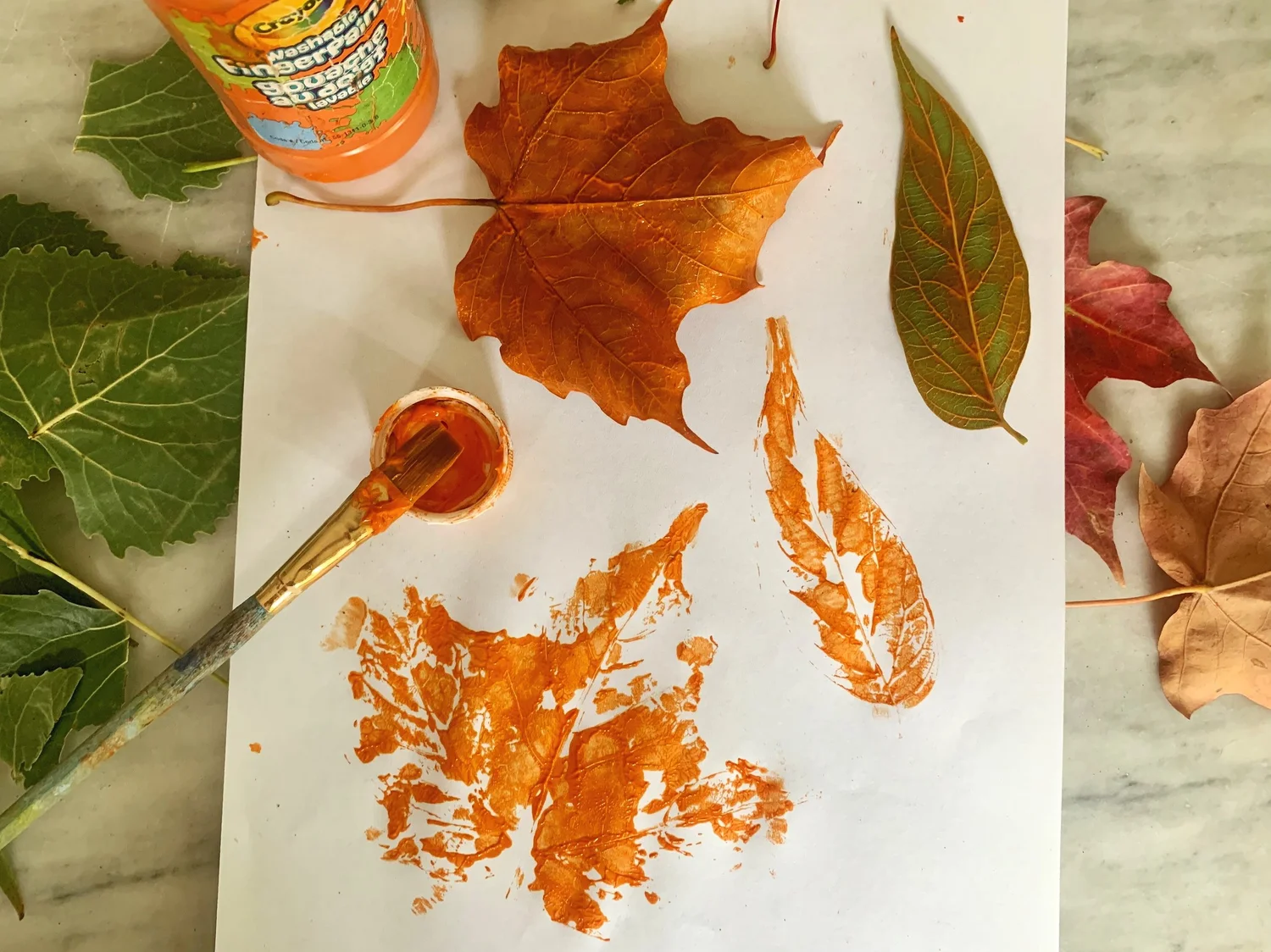 Leaf Rubbings and More Autumn Leaves Fall Craft Ideas for Kids — Lauren ...