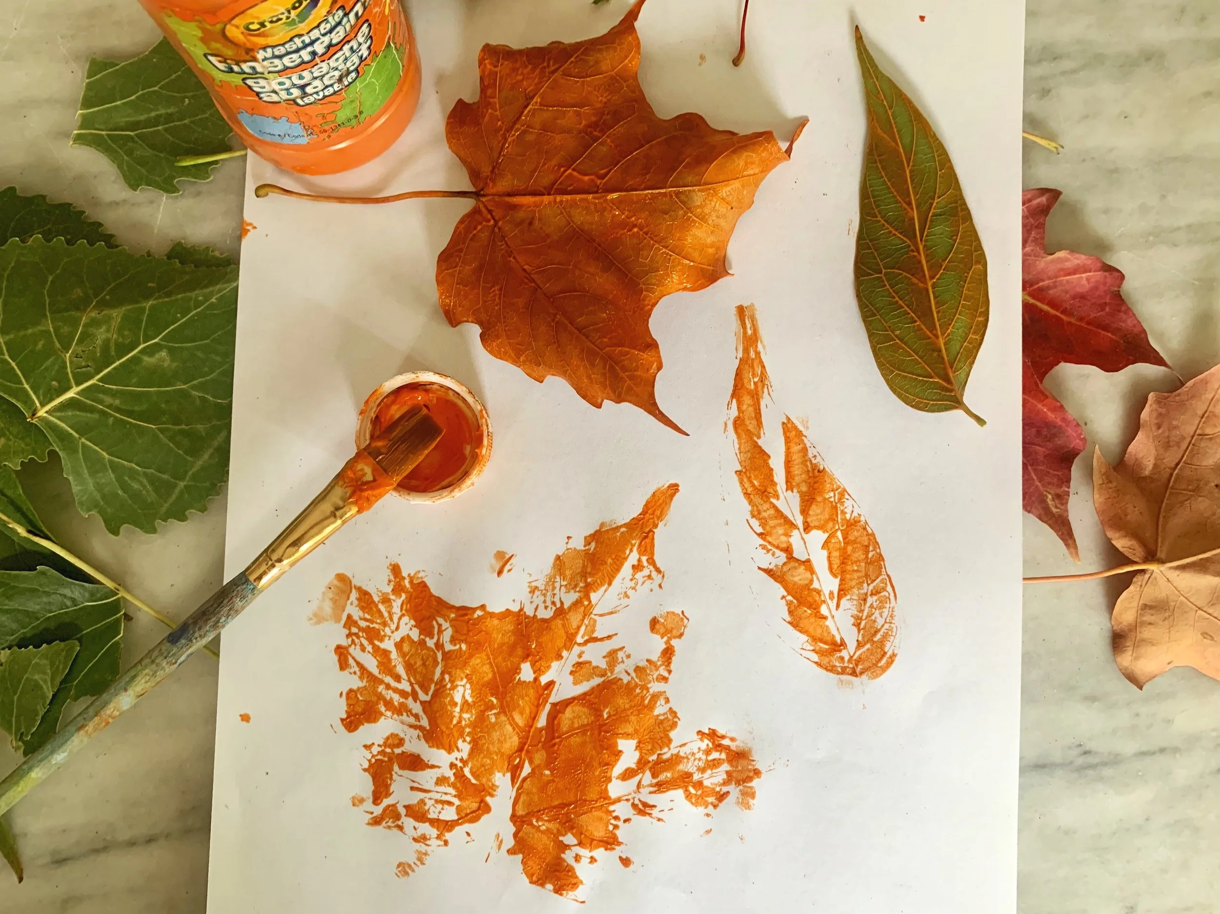 Leaf Rubbings and More Autumn Leaves Fall Craft Ideas for Kids — Lauren ...