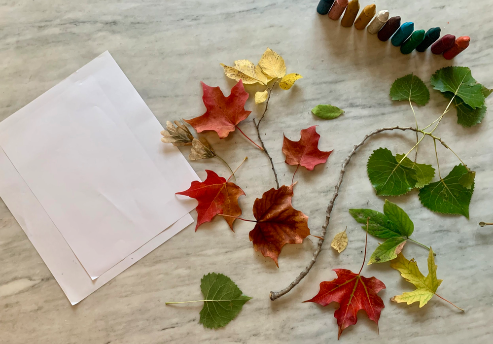Leaf Rubbings and More Outdoor Nature Arts and Crafts Activities ...