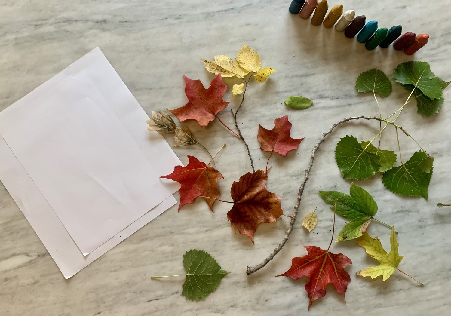 Leaf Rubbings and More Autumn Leaves Fall Craft Ideas for Kids — Lauren Martin