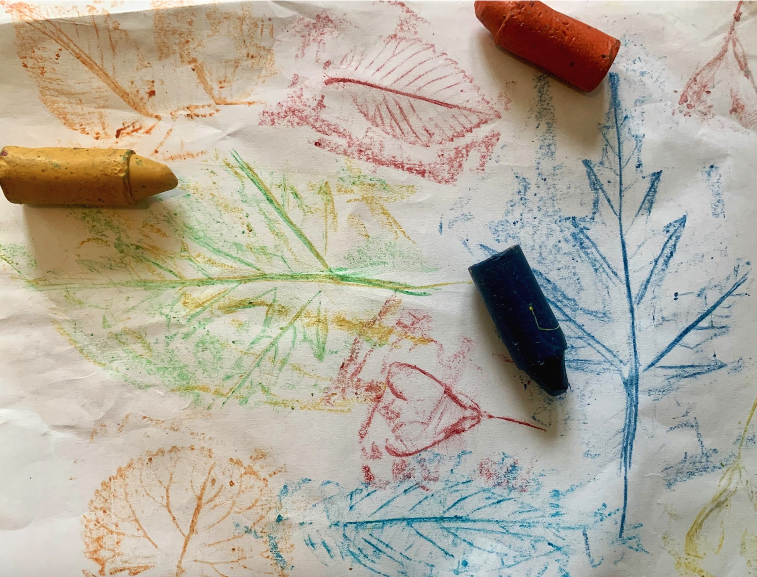 Leaf Rubbings and More Outdoor Nature Arts and Crafts Activities ...