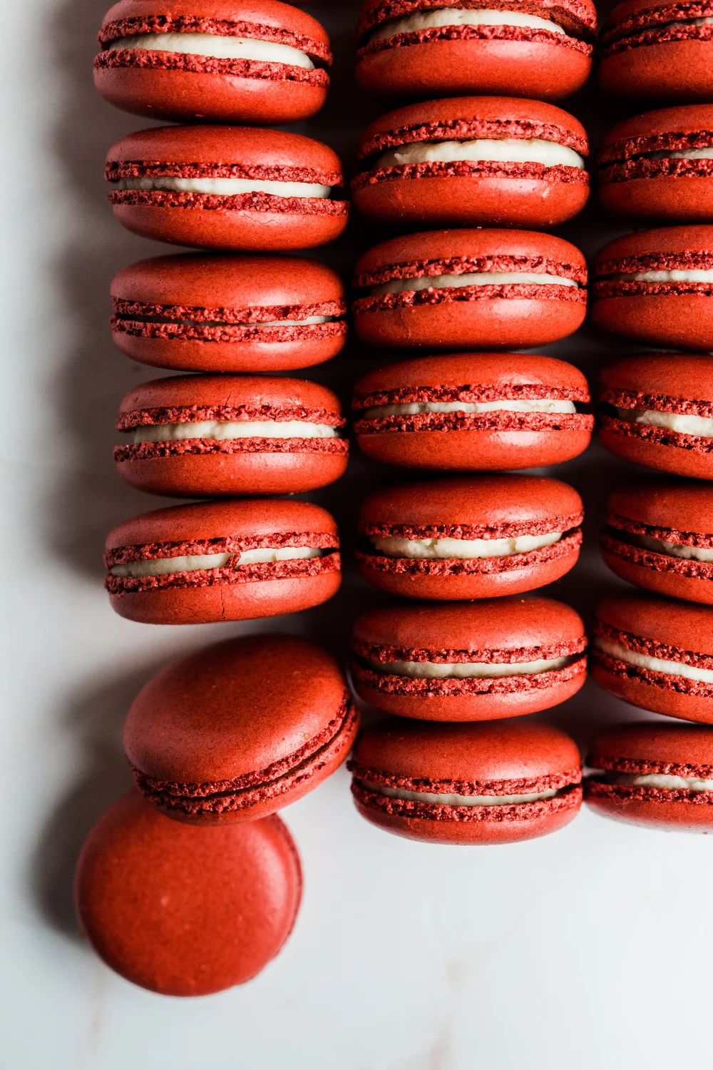 Stephanie Court Photography