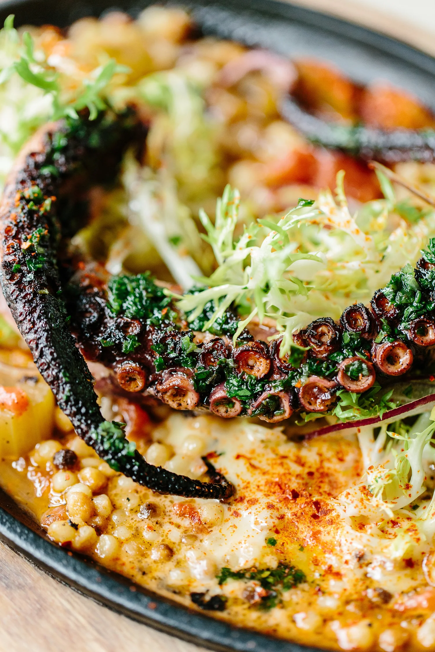 Stephanie Court Photography