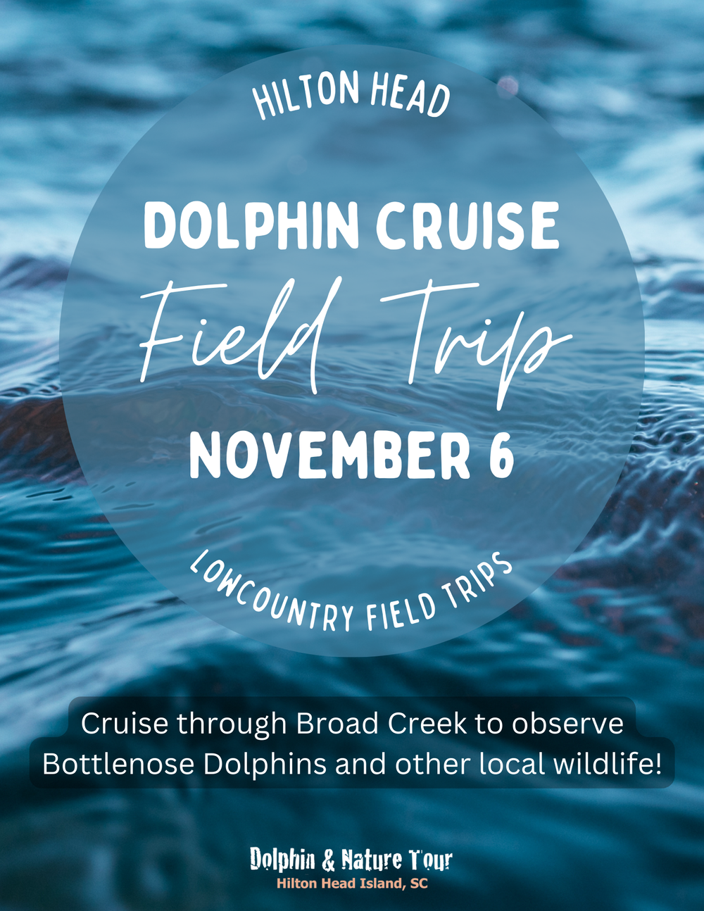 Field Trip: Dolphin Cruise — Learn Together Lowcountry
