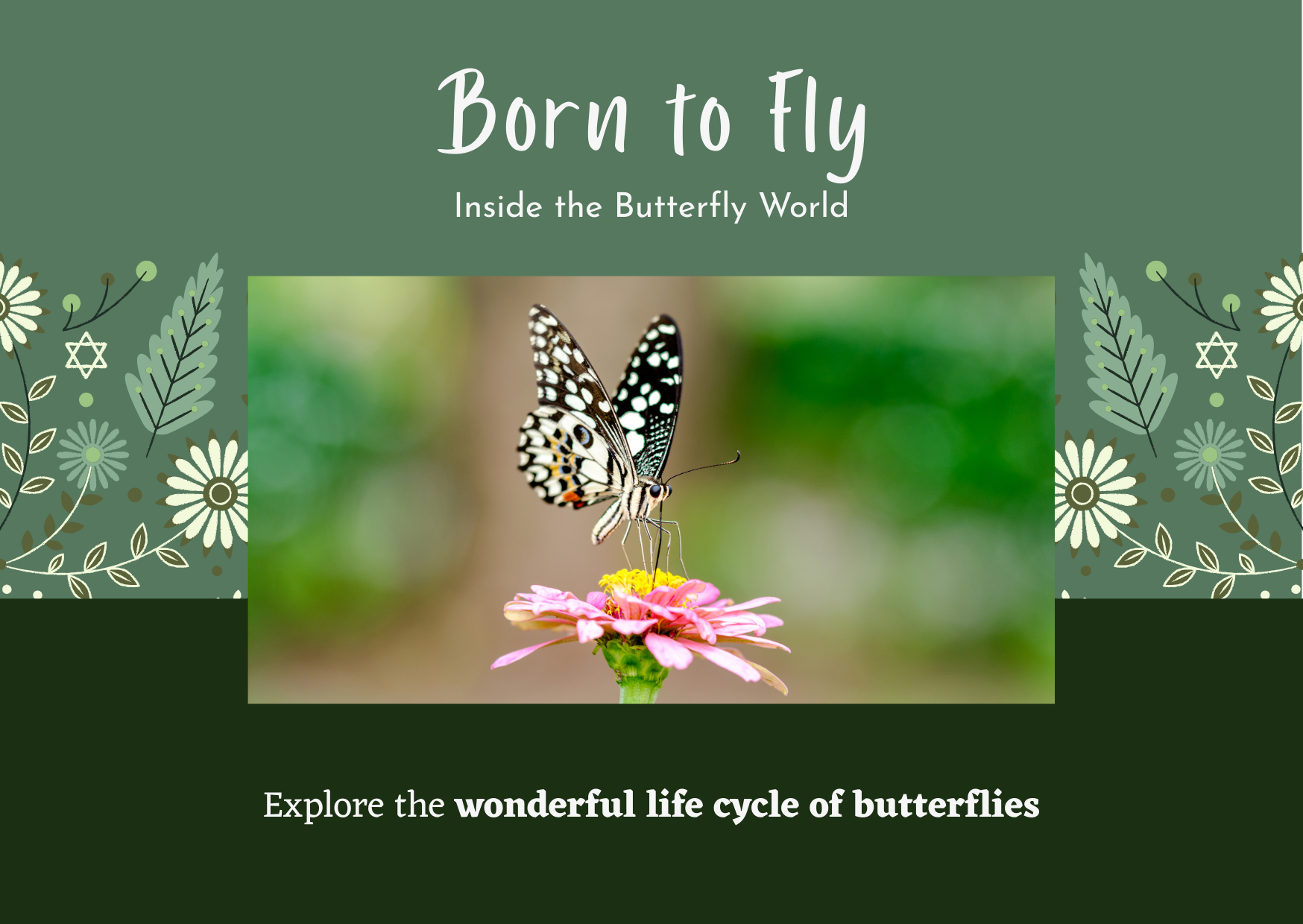 Field Trip: Born to Fly — Learn Together Lowcountry