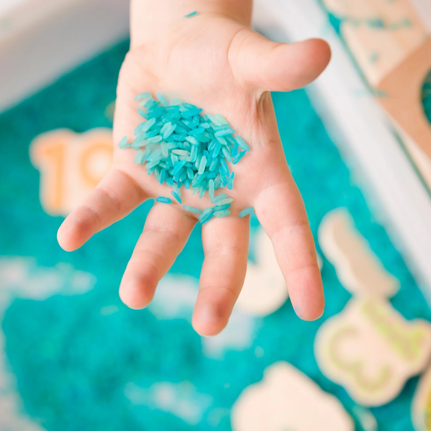 Sensory and ME Program — Learn Together Lowcountry