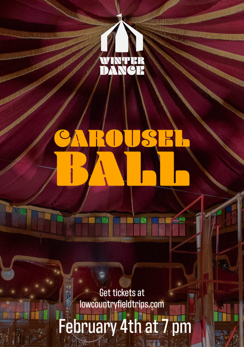 LTL Winter Dance: The Carousel Ball — Learn Together Lowcountry