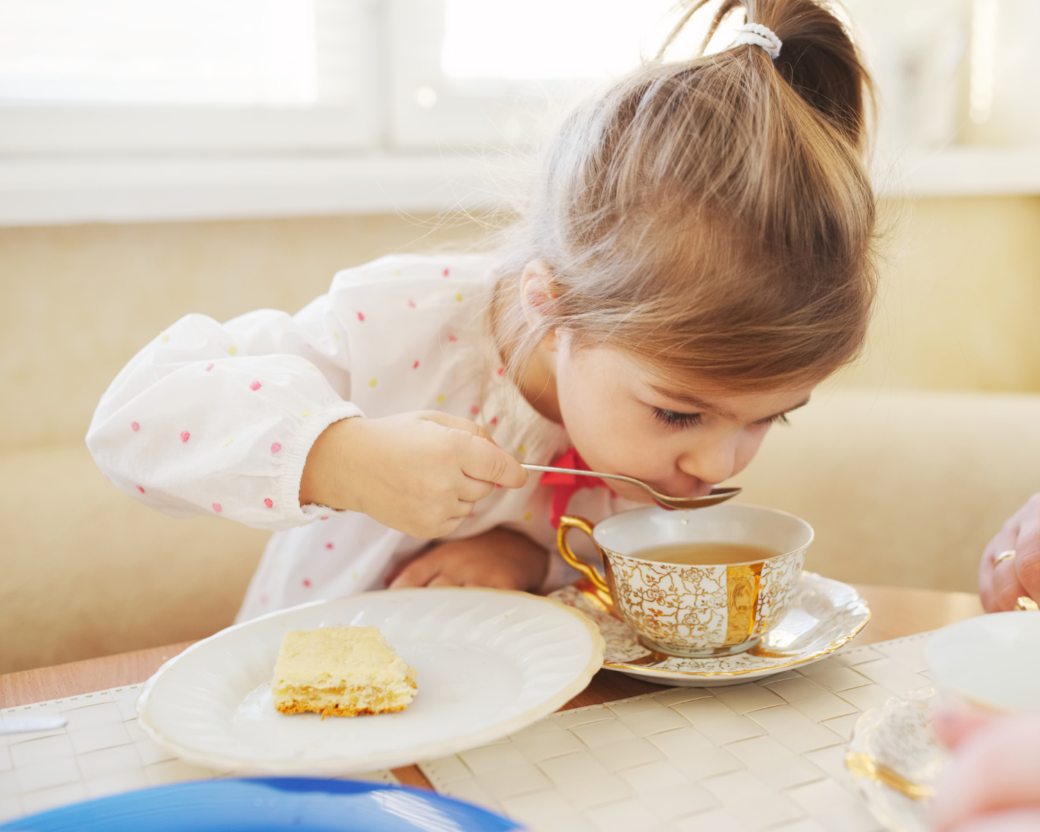 Nursery & Primary (0-7) — Learn Together Lowcountry