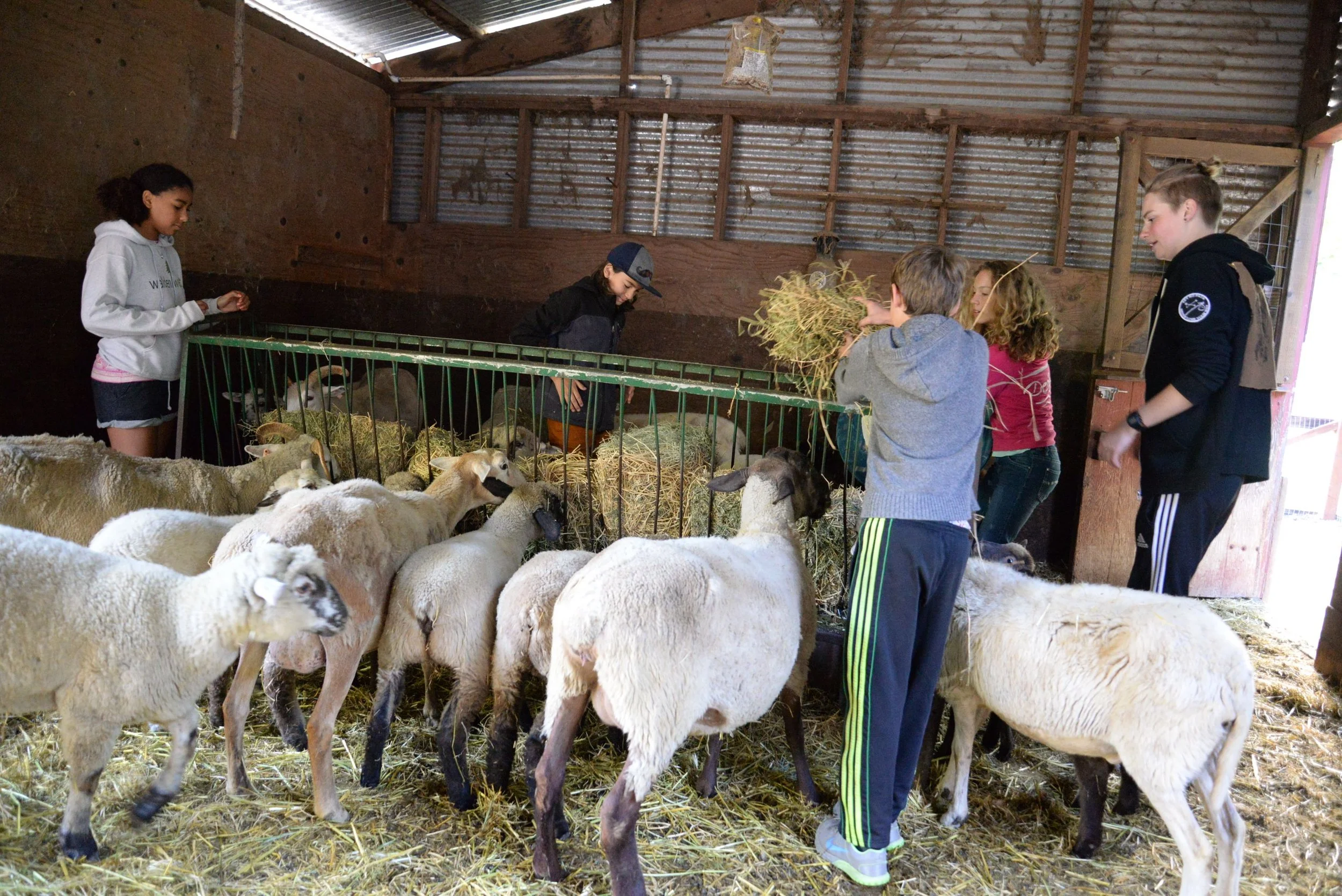 Nature Camps — Riekes Summer Camps