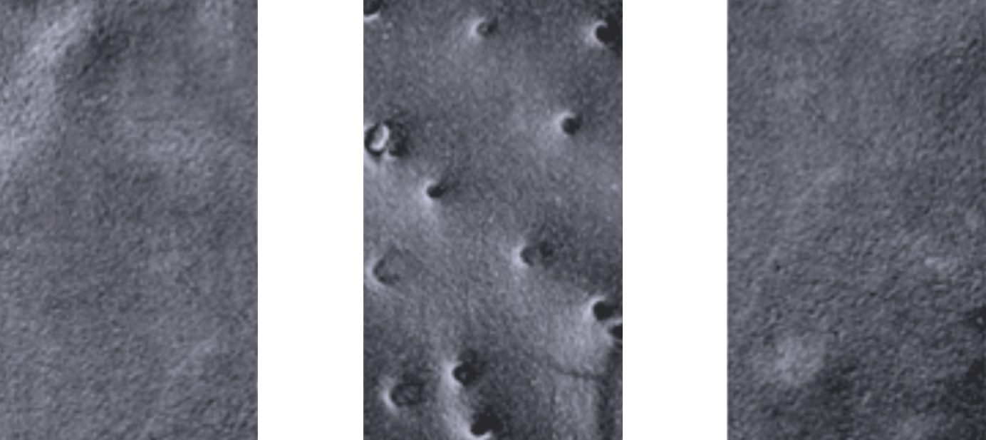 Vemi Biosychronizer Bed — Wellness Oasis