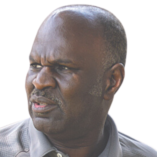 Elected Leadership — Hoke County Democratic Party