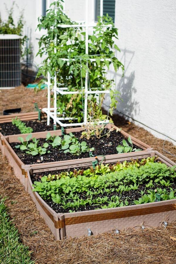 Simple Steps for Preparing Garden for Spring to Be Ready to Grow — This ...