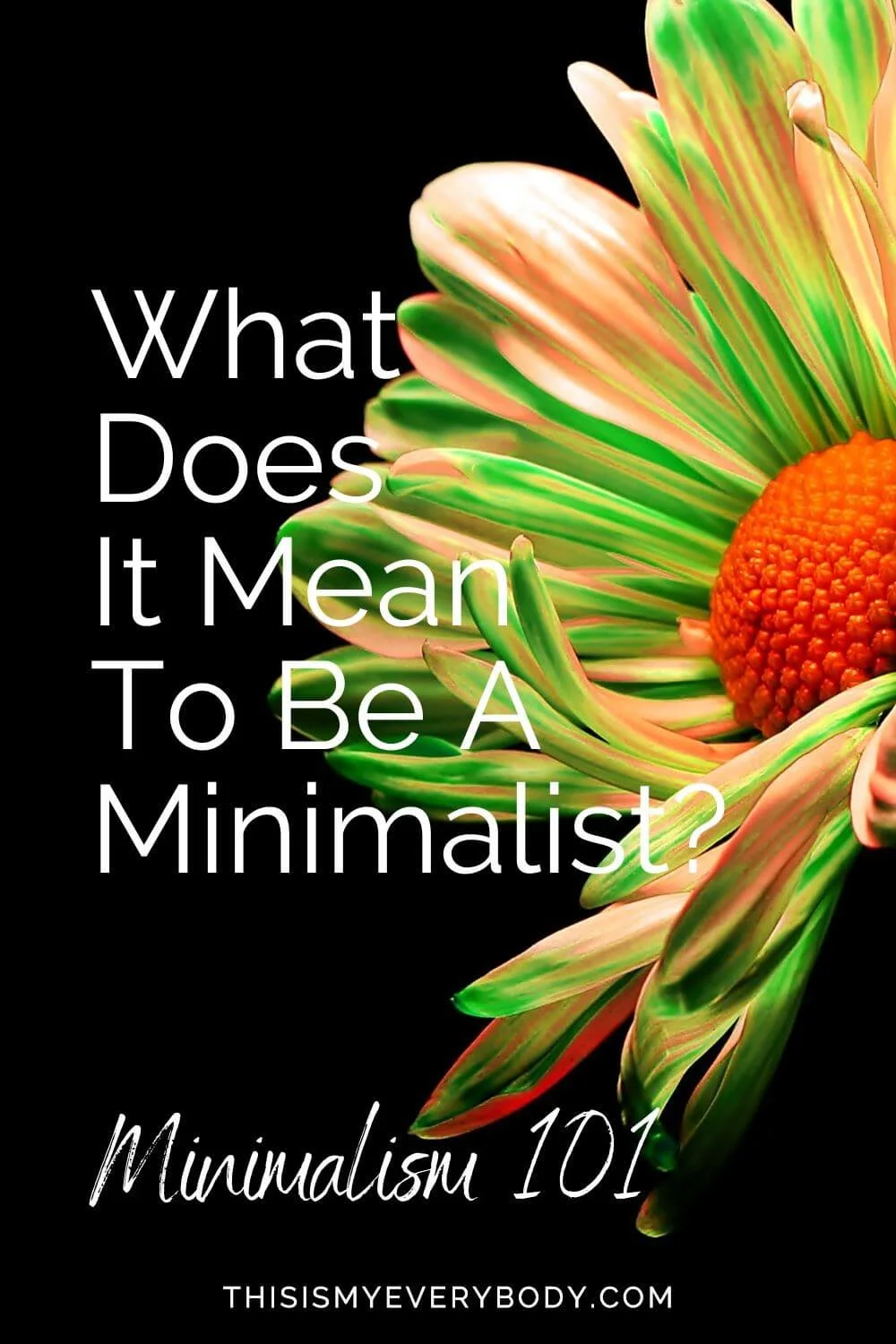 What Does It Mean To Become A Minimalist?... Living A Simple Life